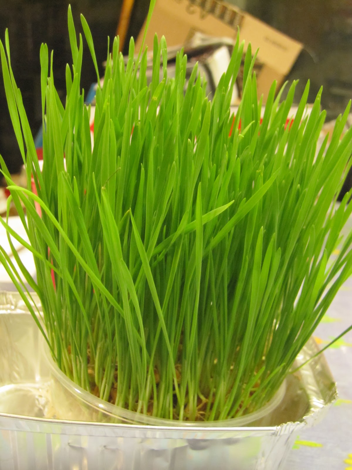 Hiking Toward Betterness