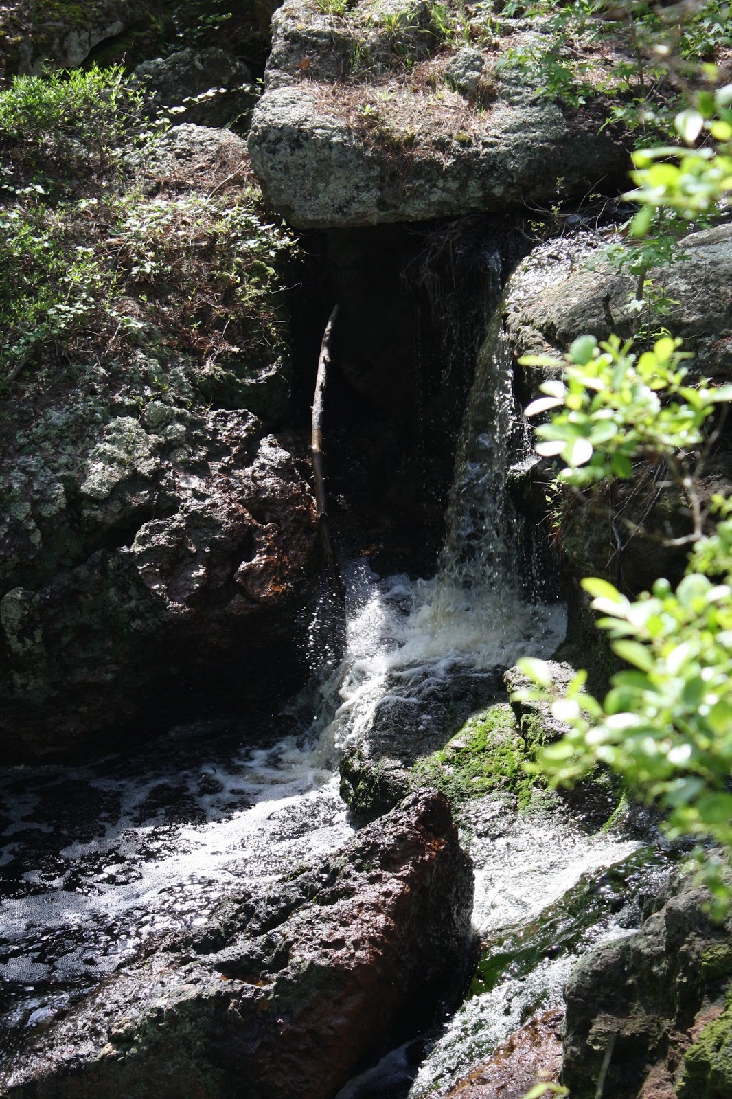 Baby Babbles: Broxton Rocks