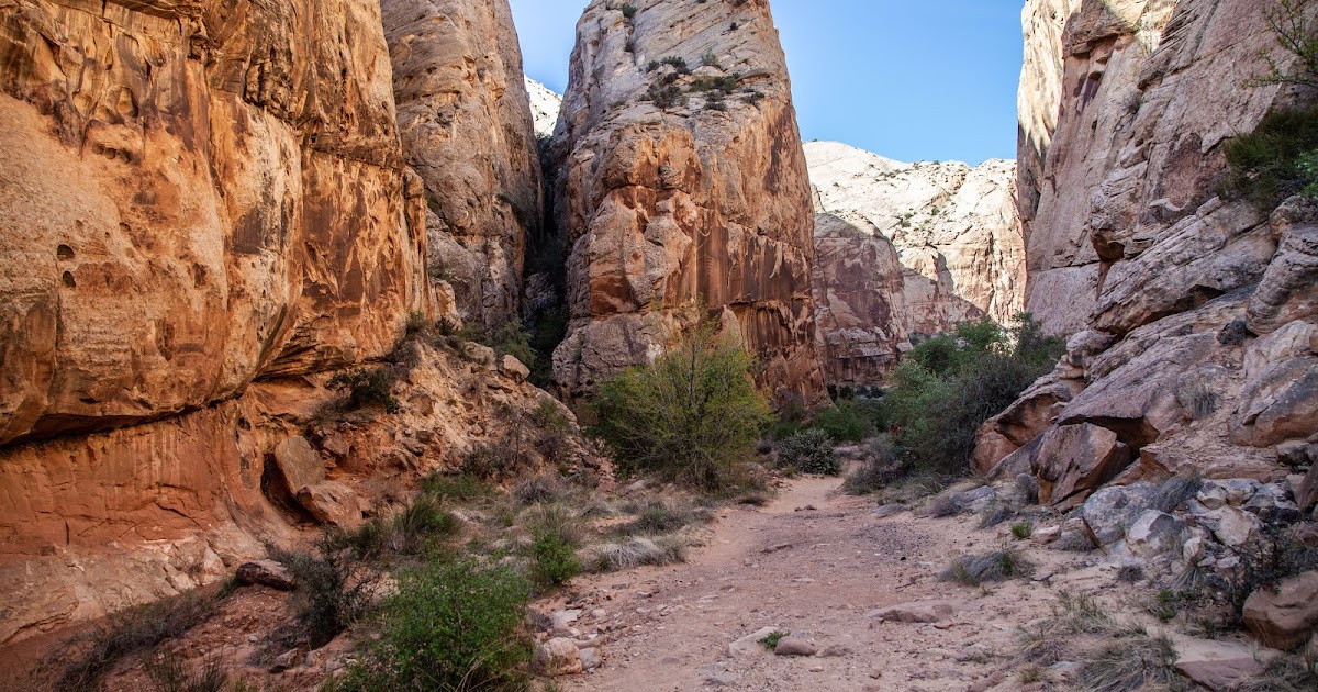 Walking Arizona: A Rocky Path