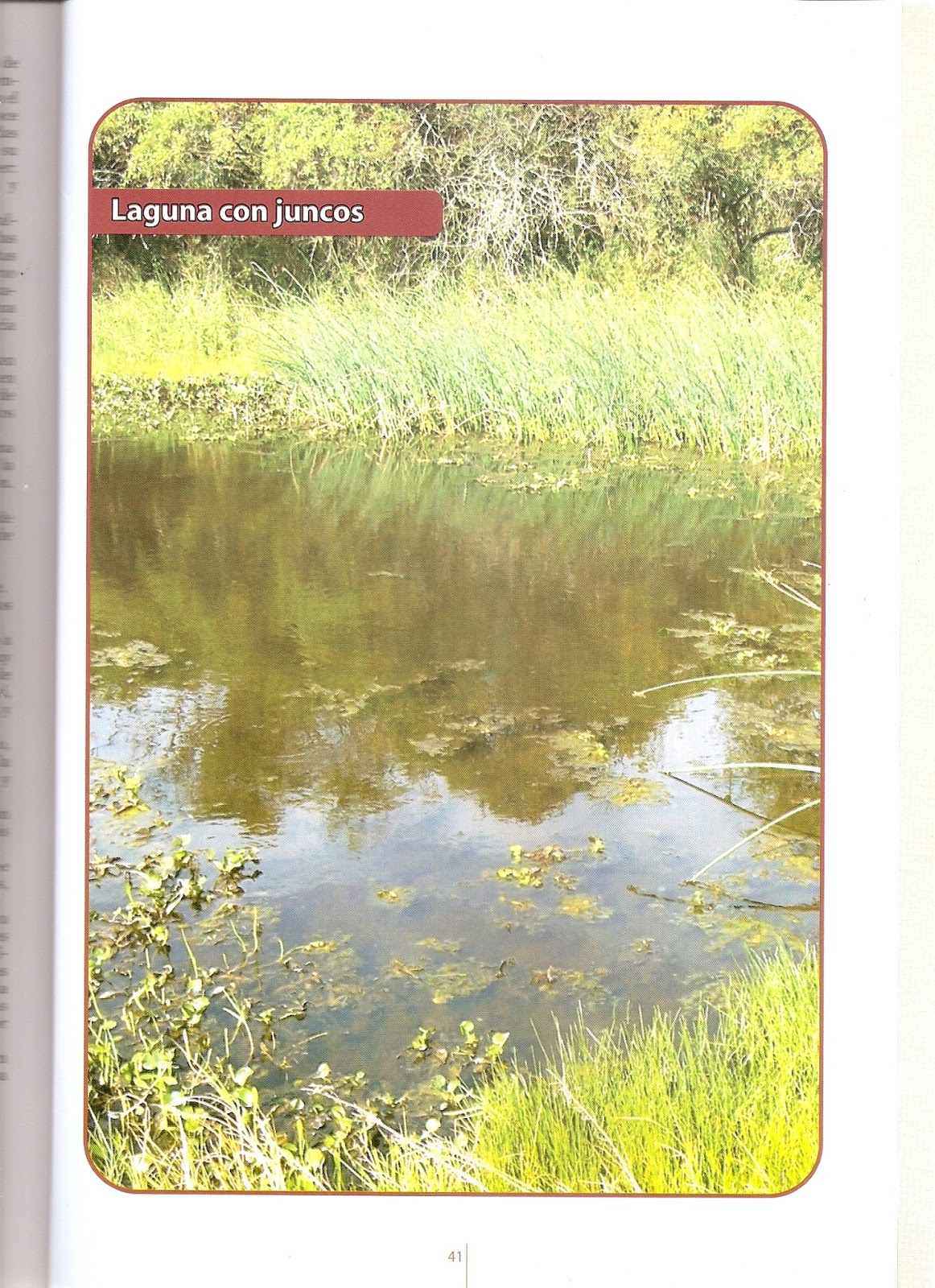 Las Heras Digital: "LOS HUMEDALES" 1º Actividad