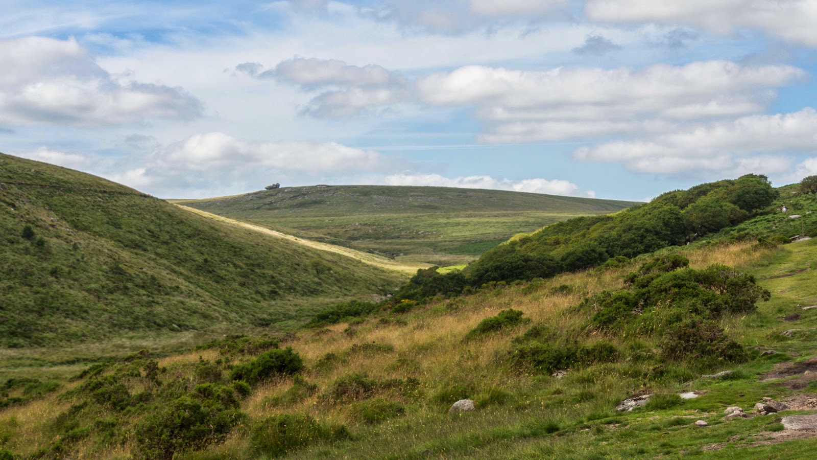 My Dartmoor Walks: Tuesday 15th July Crow Tor