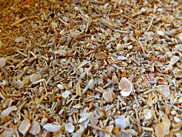 JNCC marine survey update: February 2012