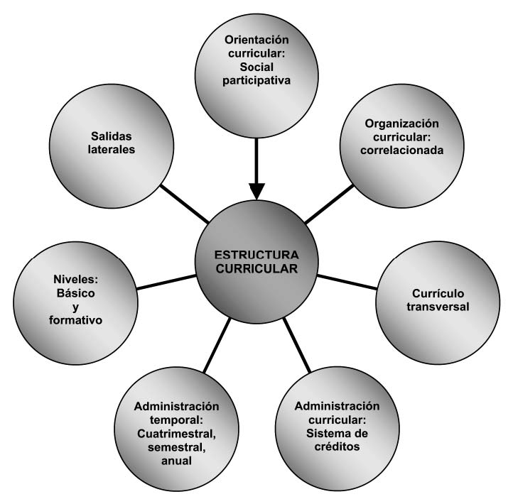 CURRICULUM UNIVERSITARIO EN EUROPA: El Currículo Universitario