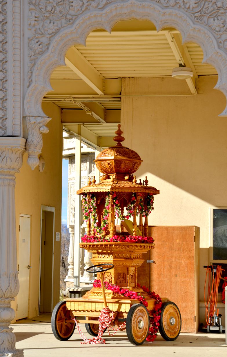 A school of fish: November 2012