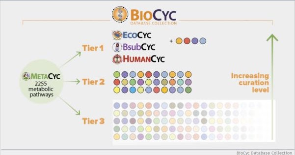 News in Proteomics Research: BioCyc! Free access to almost 8,000 pathways!