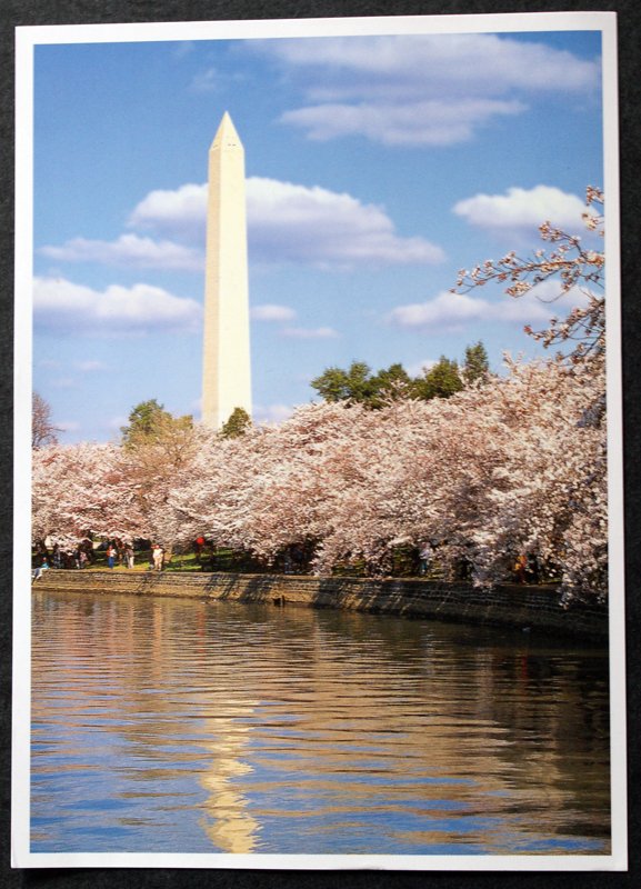 Postcards, Letters and Stamps: USA postcard