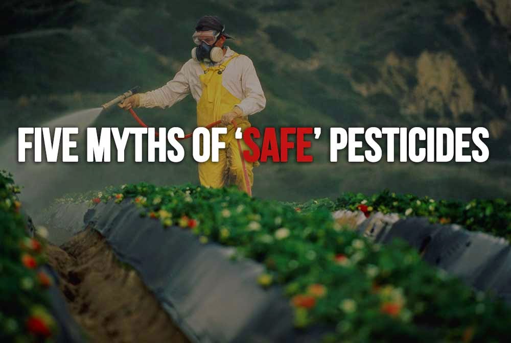 Five Myths Of ‘safe Pesticides Endoriot