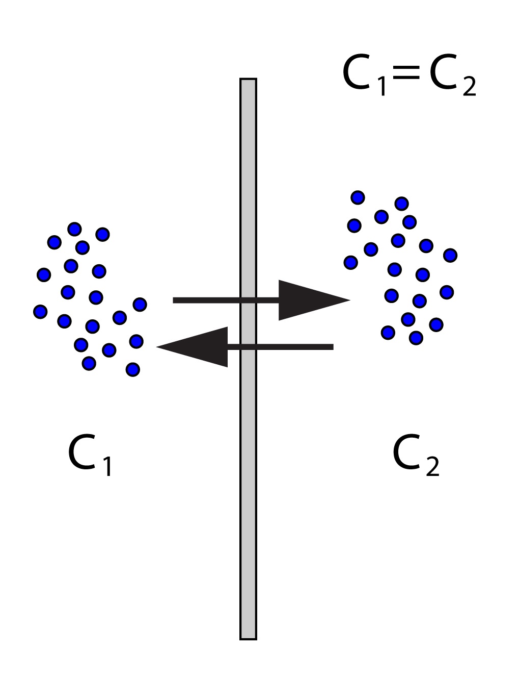 el moderno prometeo: Transporte a través de membrana