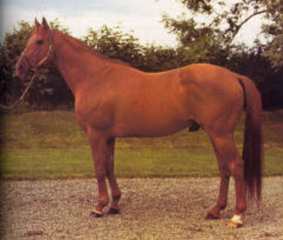 February 2013 ~ We Are Flying Solo