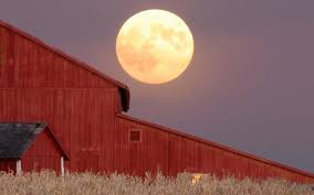 Happy Harvest Moon!