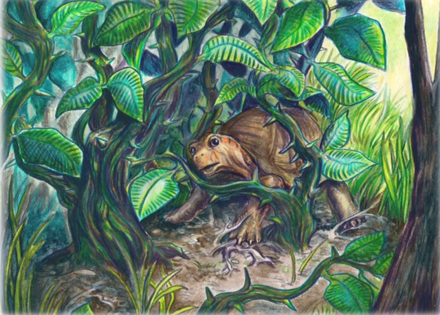 STORYWRAPS: "The Adventures of Thomas the Turtle" - a bookwrap