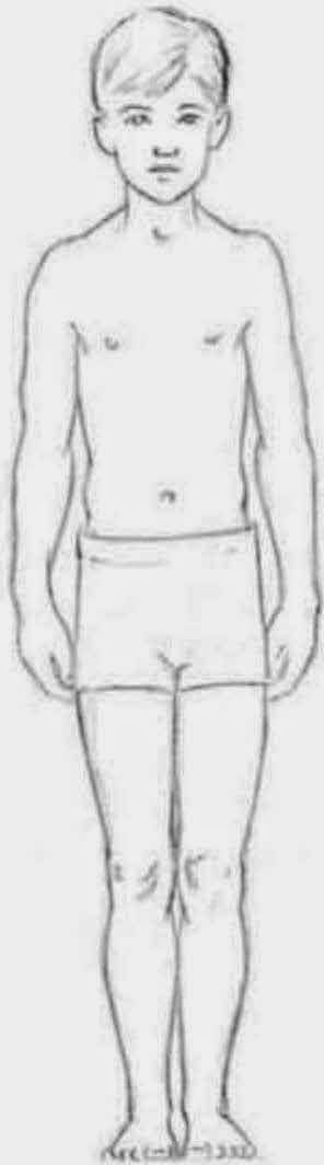 Drawings: CHILDREN'S BODY PROPORTIONS
