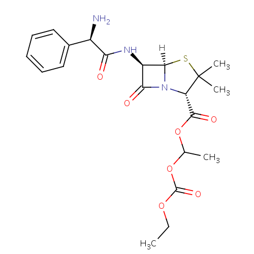 Pharmacology Of Bacampicillin