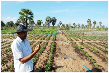 talkingeconomics - Is Low Agricultural Productivity Keeping Batticaloa ...