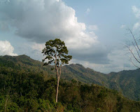Beauty of Nature: Tajingdong : The highest hill of Bangladesh