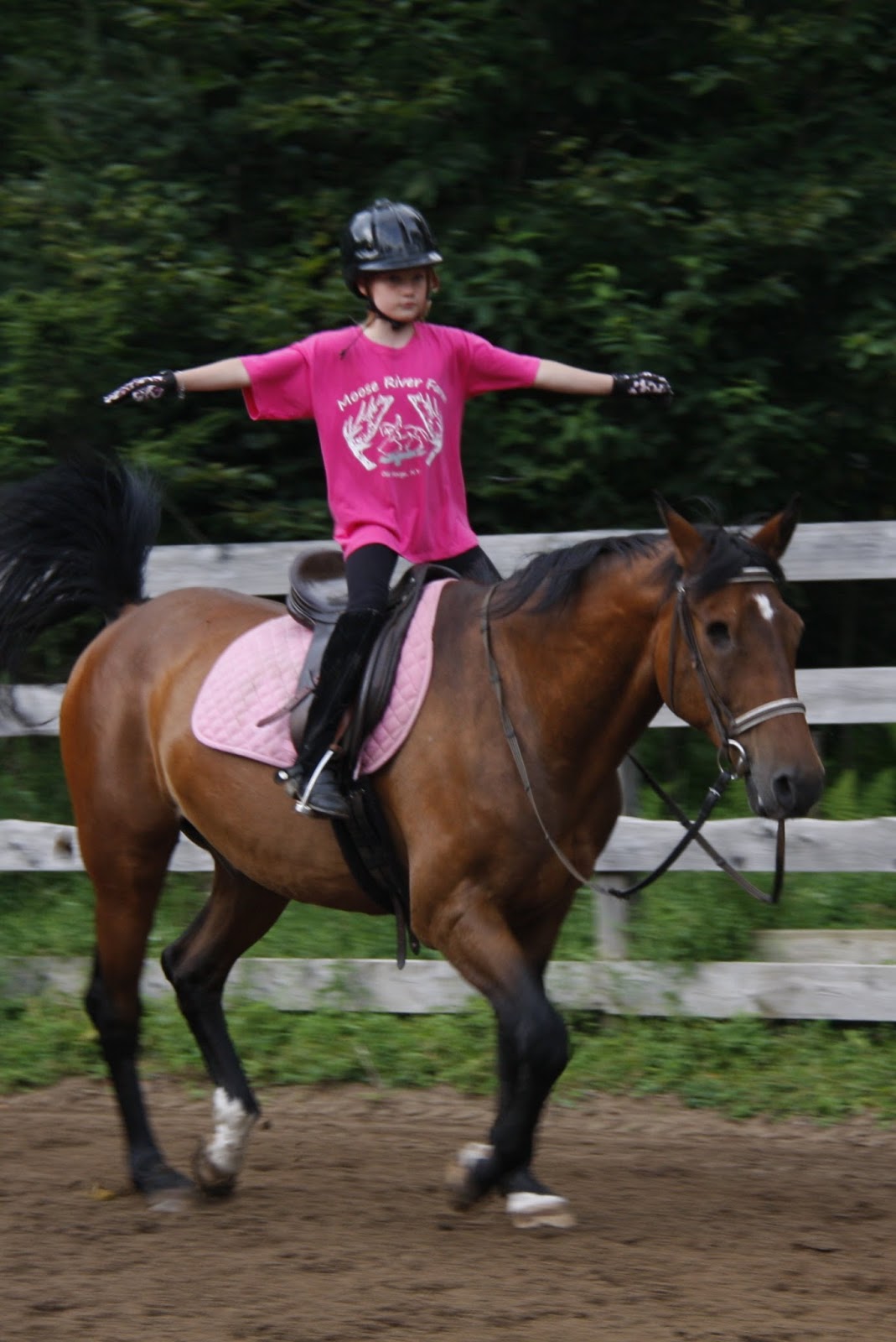 Finding My Way to Moose River Farm: Girls and Horses; 2013 MRF Riding ...