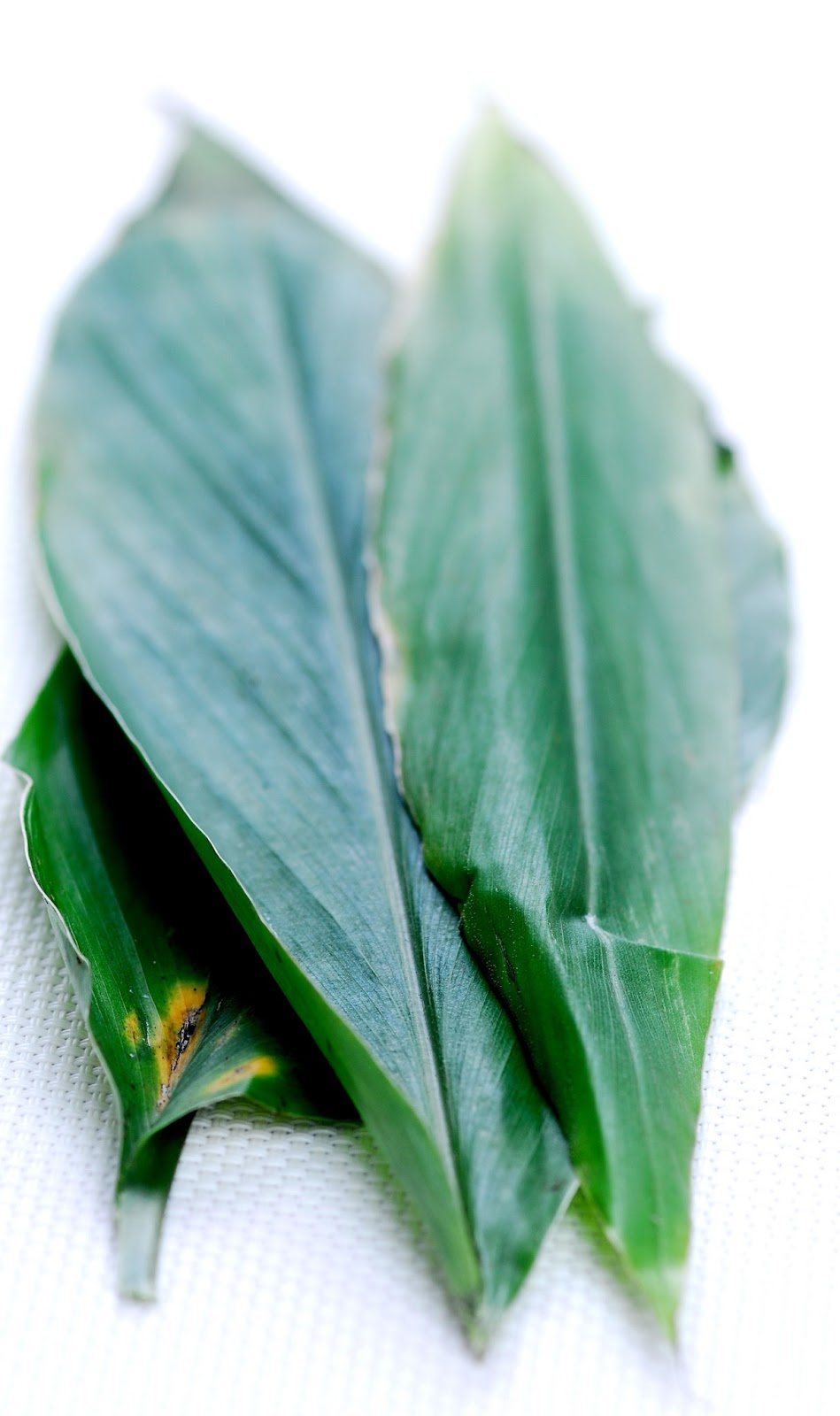 Bumbu Daun Pelezat Masakan