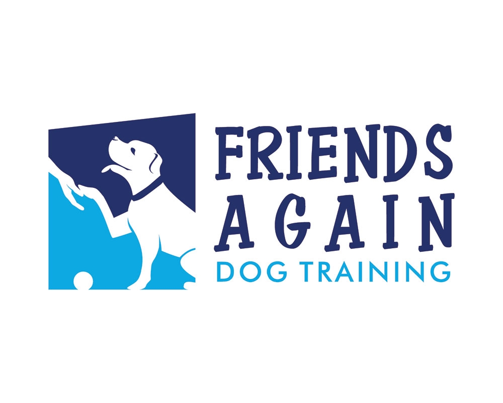 Of Pit Bulls & Patience