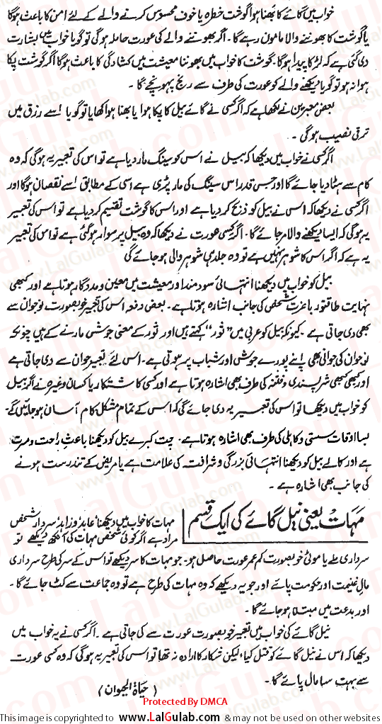 Khwab Mein Bhains Dekhna Ki Tabeer Urdu Bhains Dekhne Bhains ~ Dekhne