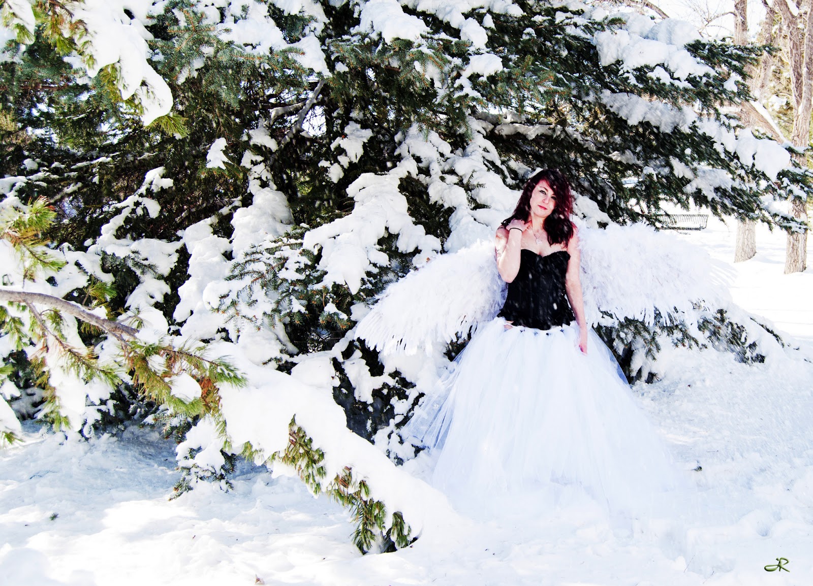 Jacque Russell Imagery: Destinee Playing in Snow ~ Jacque Russell ...