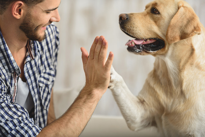 Animal-Assisted Therapy: How it Works and Who it May Help