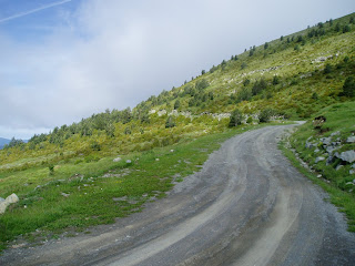 RUTAS BTT: BROTO-SARVISE- FANLO- NERIN- PISTA DE LAS CUTAS- TORLA - BROTO