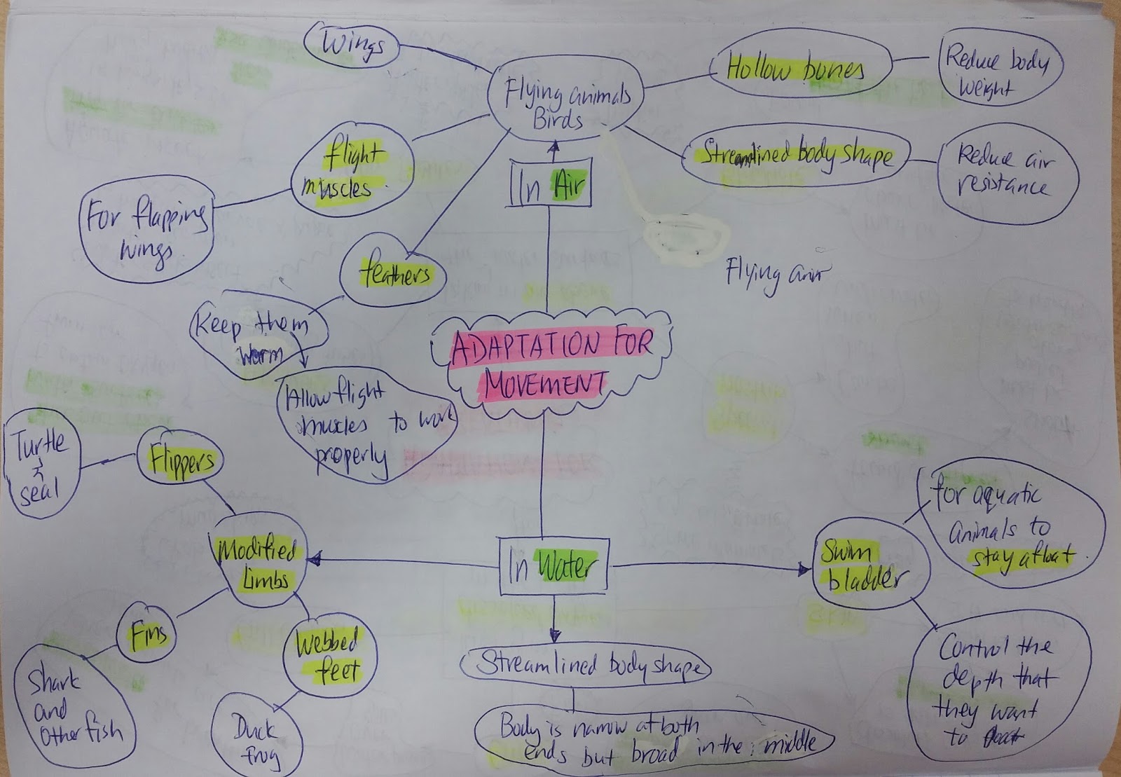 Welcome to 6E Science!: [14/4] MCQ Revision Set C & Adaptations Concept ...