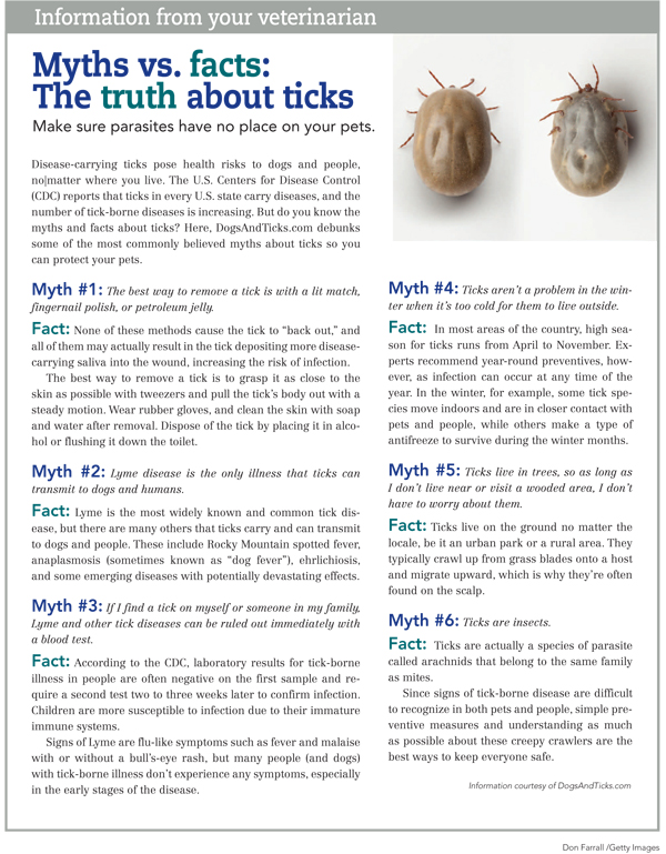 Cherokee Animal Clinic: Myths Vs. Facts: The Truth About Ticks