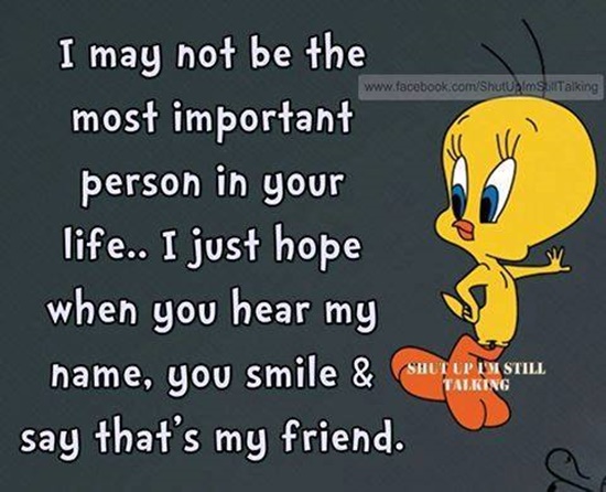 30 Best Funny Tweety Bird Quotes