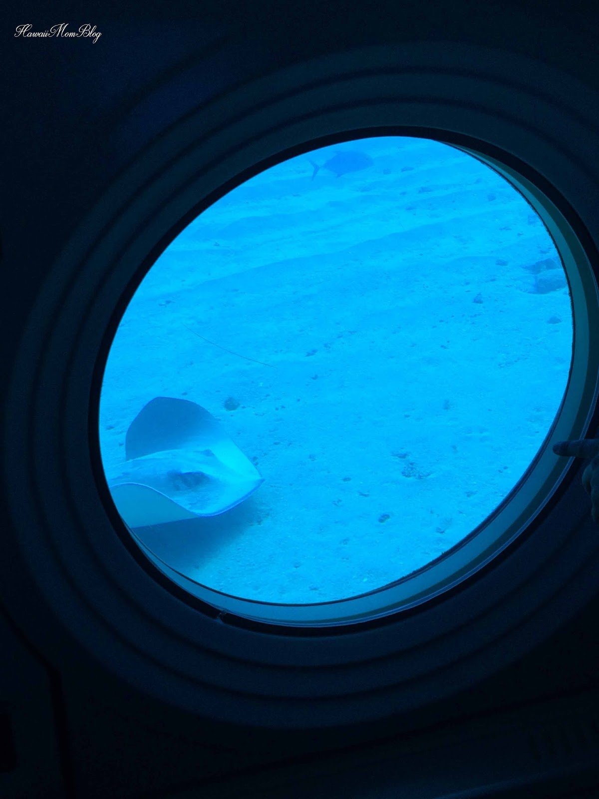 Hawaii Mom Blog: Atlantis Adventures - Premium Submarine Tour