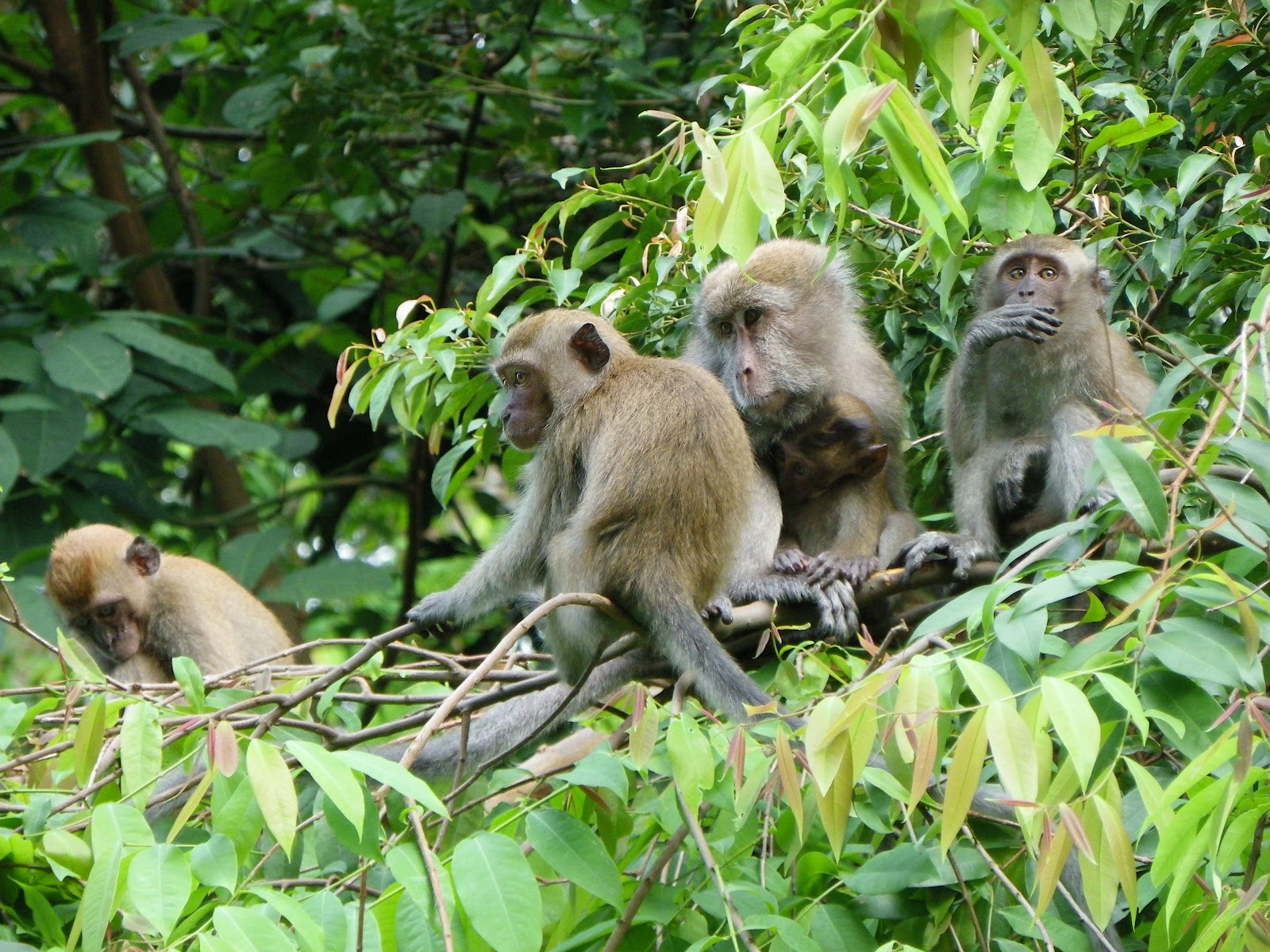 Kathy's Adventures Beyond Singapore : Natural Habitats