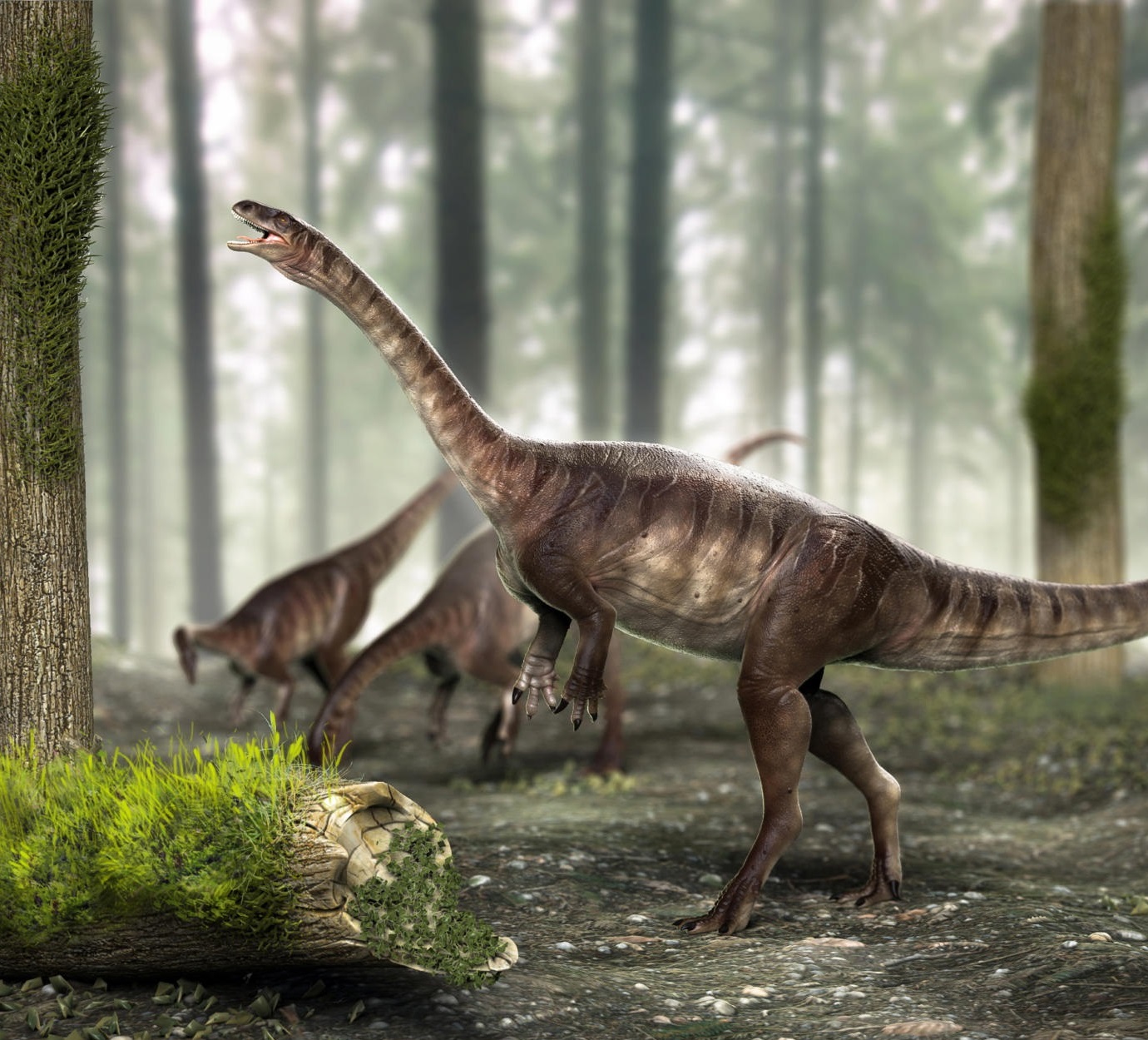 Species New to Science: [Paleontology • 2018] Macrocollum itaquii • An ...