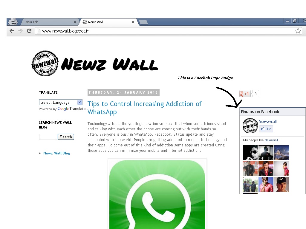 Newz Wall: How to add Facebook Badges on Your Website or Blog