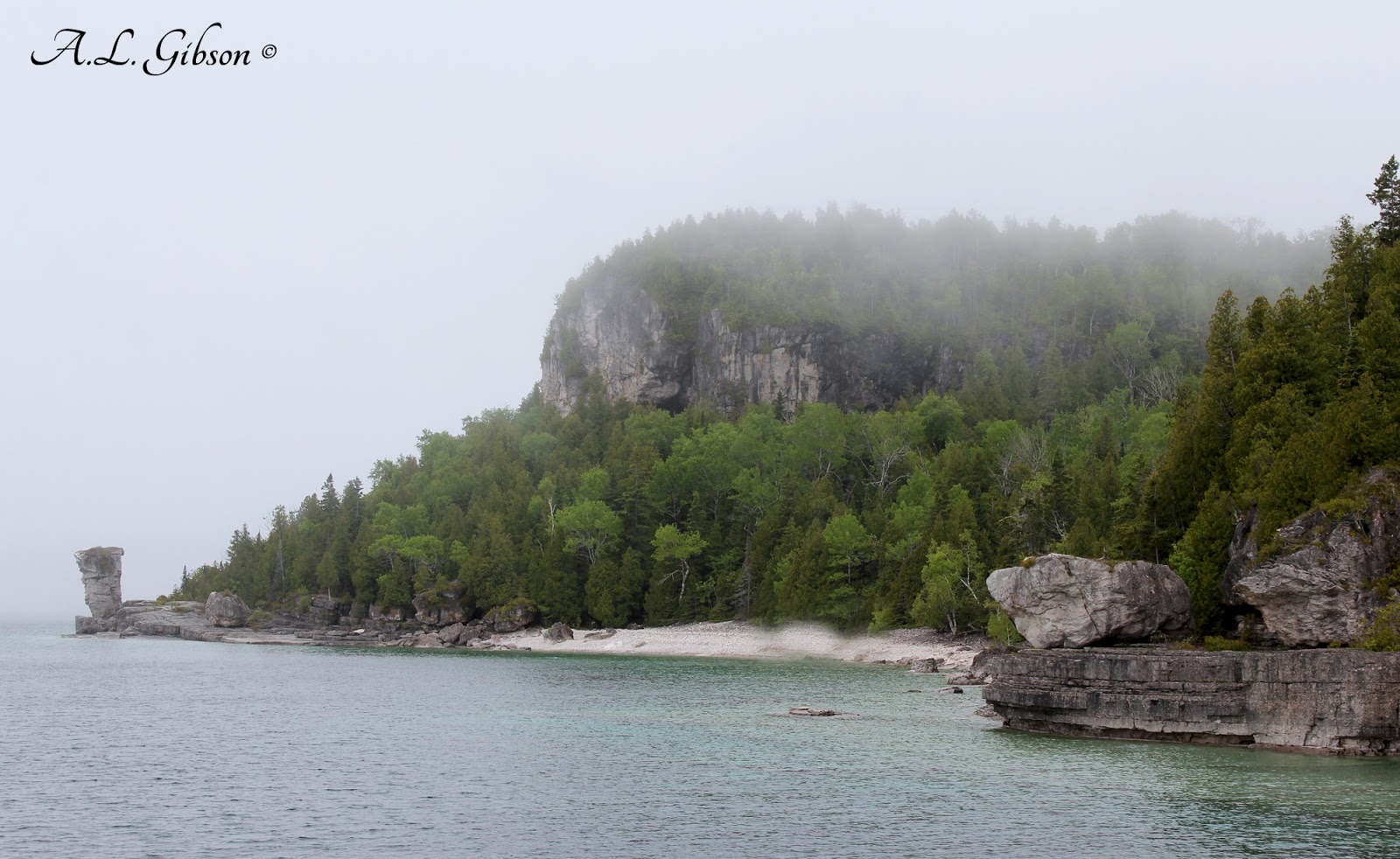 The Buckeye Botanist: The Bruce Peninsula Part VII: Majestic Flowerpot ...
