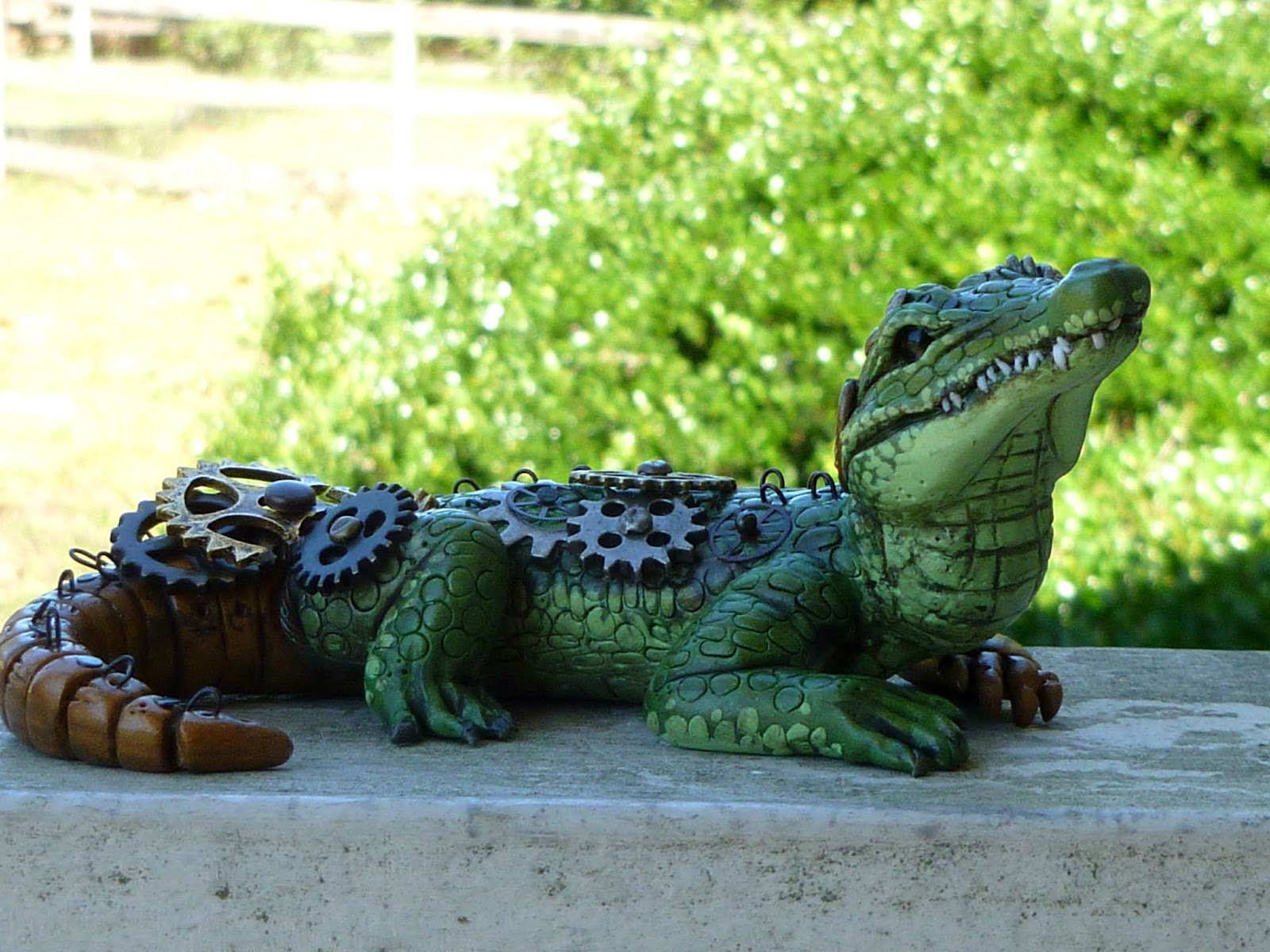 Mystic Reflections: Check out this Crocodile Smile