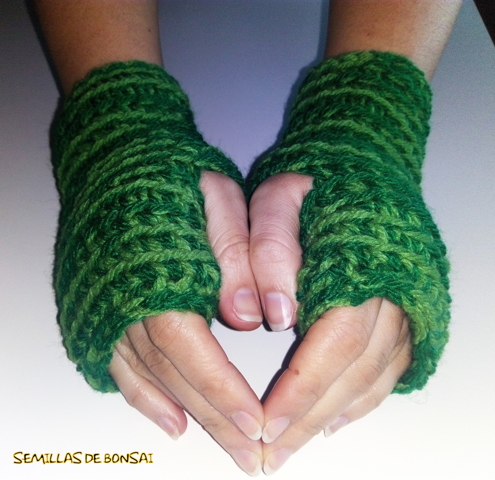 Semillas de bonsai: Mitones de colores