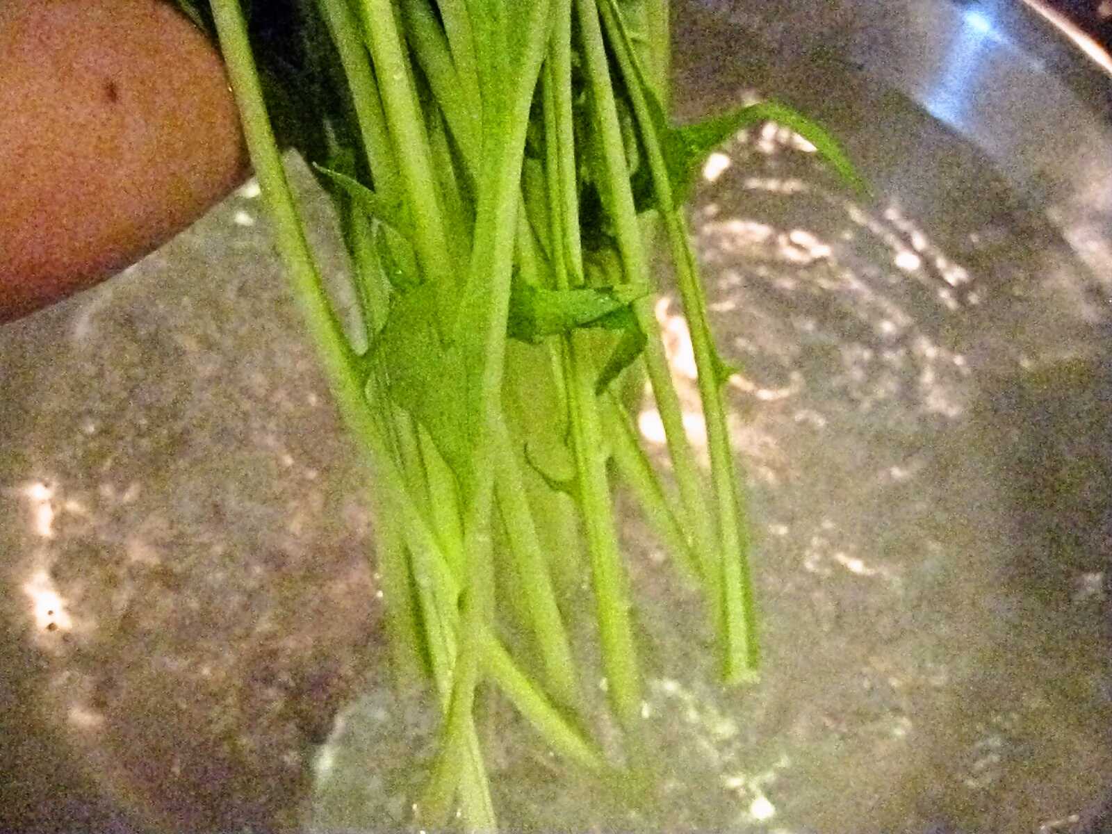 Recipes for Tom: Mizuna to horenso no ohitashi / mizuna and spinach in ...