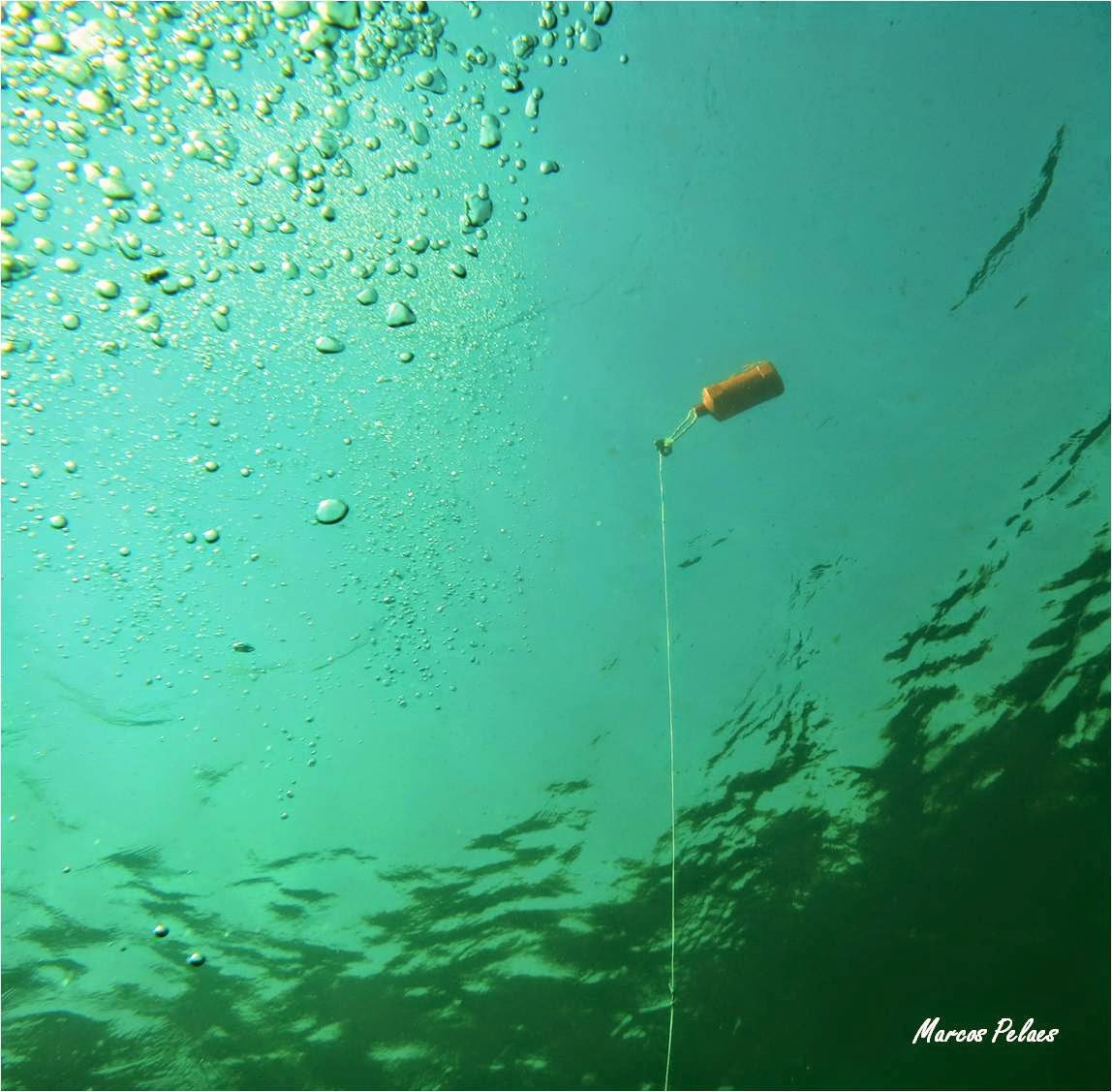 Hidrofilia: Mergulho no Tietê II