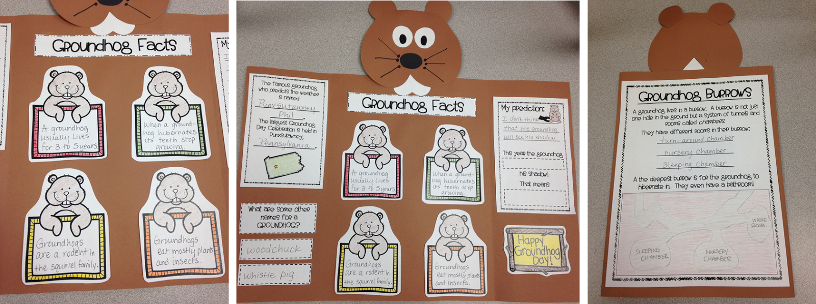 The First Grade Lunchbox: Groundhog Day!