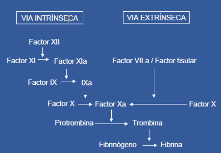 FFCCMM-ESCUELA DE MEDICNA . INTERNADO DE MEDICINA - MEDICINA INTERNA ...