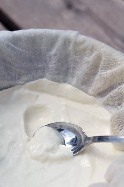 Širšių lizdas: Naminis graikiškas jogurtas