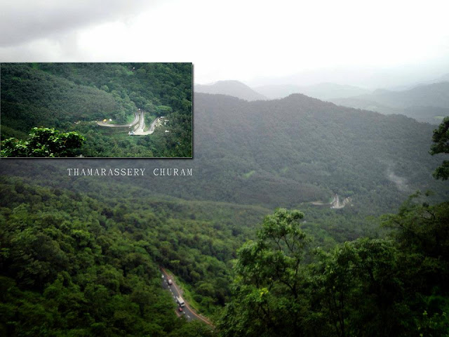 THAMARASSERY KOZHIKKODE