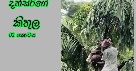 ගොඩේ කතා: දන්සිරියාගේ කිතුළ - 02 කොටහ