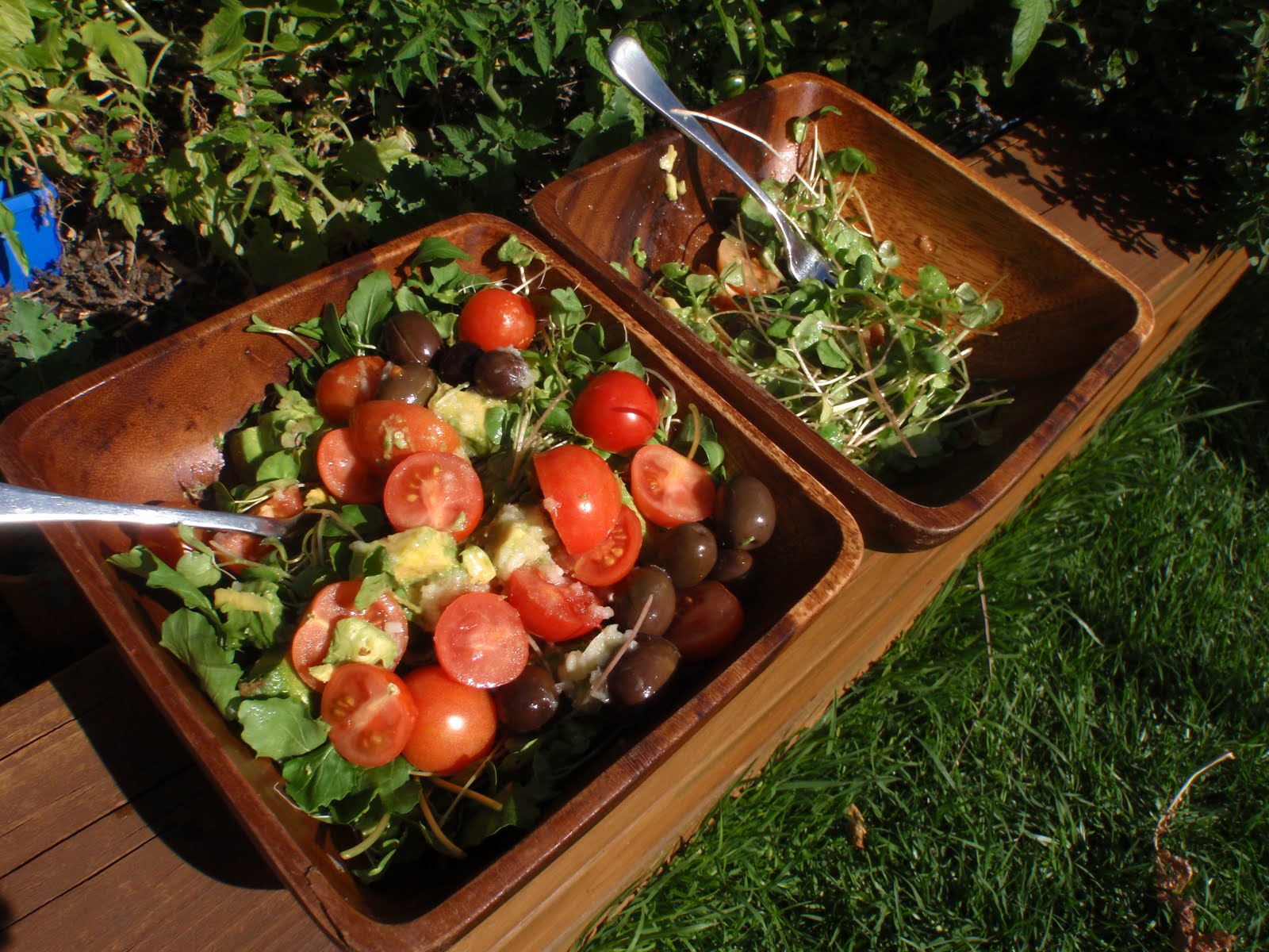 Raw Harmony: Fresh raw food gardens in small back yards