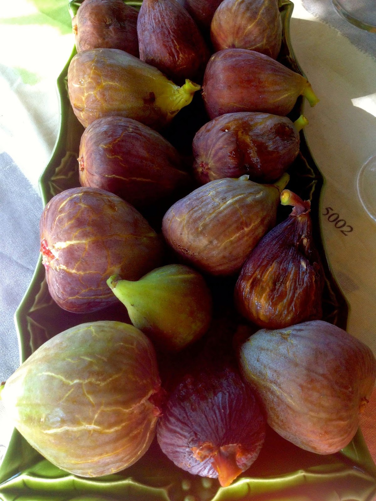 Laurel True: True Mosaics Studio