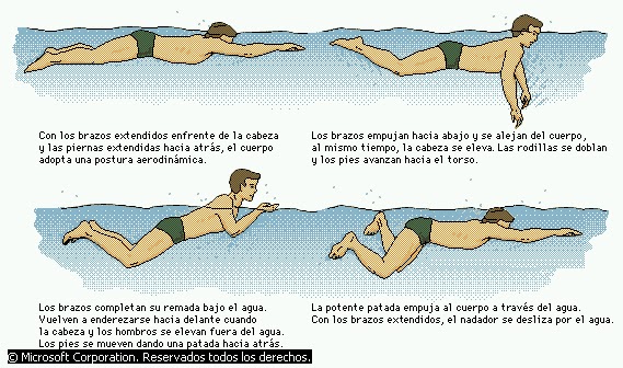NATACION!!.: Aprendiendo a nadar