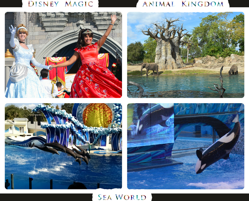 Live Laugh and Learn: 17 Fun Things To Do In The Summer