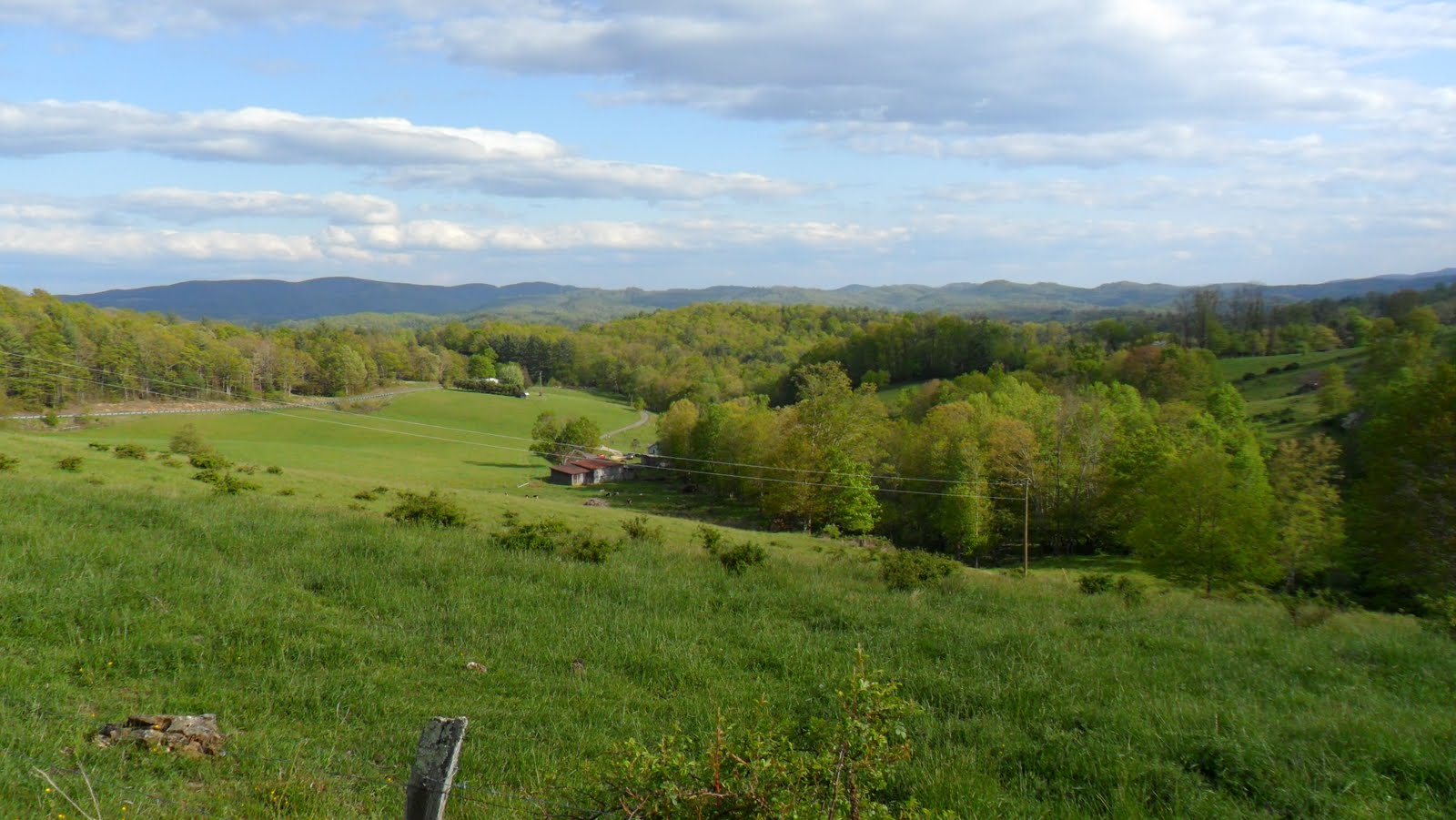 New River Marathon Review: An Elevated Race - ForksToFeet