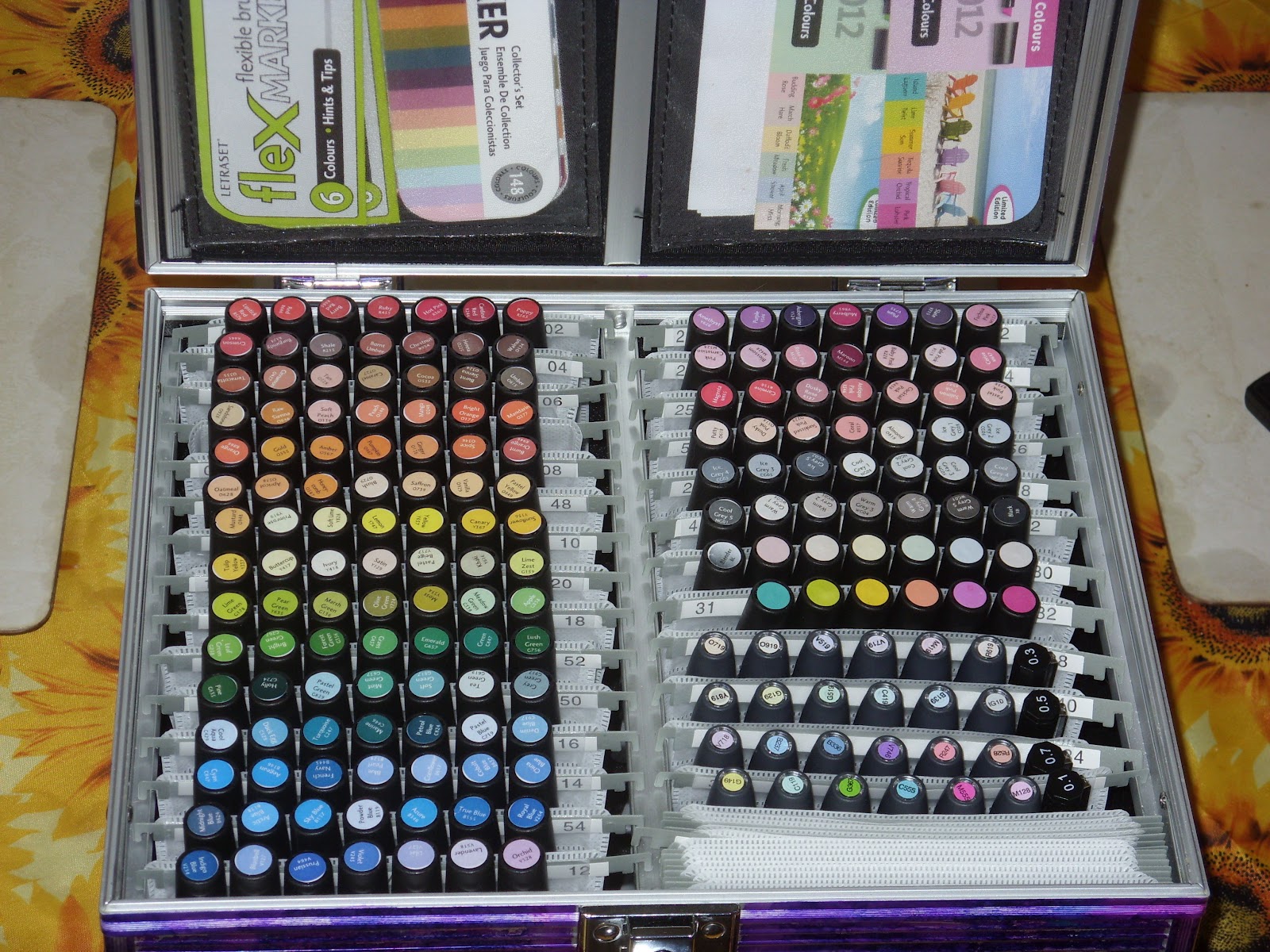 Purplecat 64: My Promarker Storage System