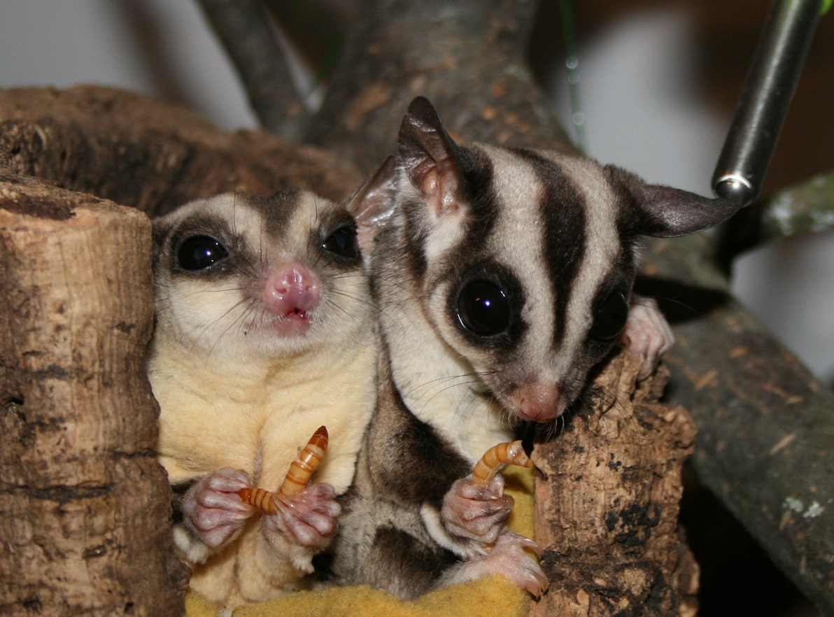 Better to be Together